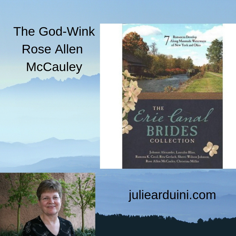 The God-Wink by Rose Allen McCauley